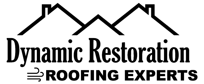 Frankfort Home Remodeling | Exterior Remodeler | Dynamic Restoration