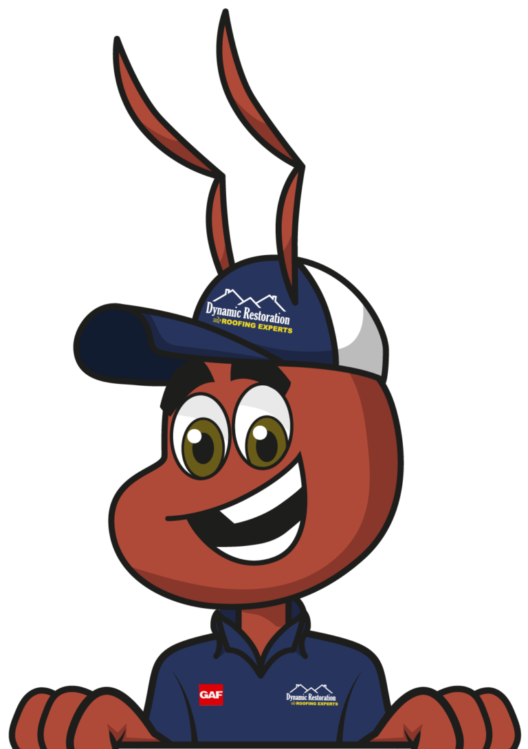 Dynamic Restoration LLC | Roofing Company | Roofers | Roof Installation ...